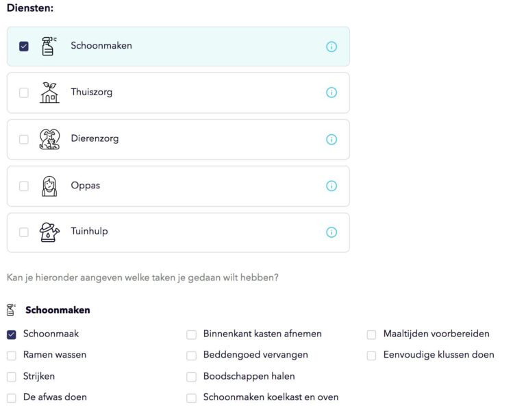 Homeworks + info + review van Homeworks Huishoudelijke Hulp